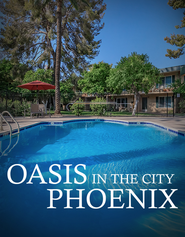 Oasis in the City - Ebrochure